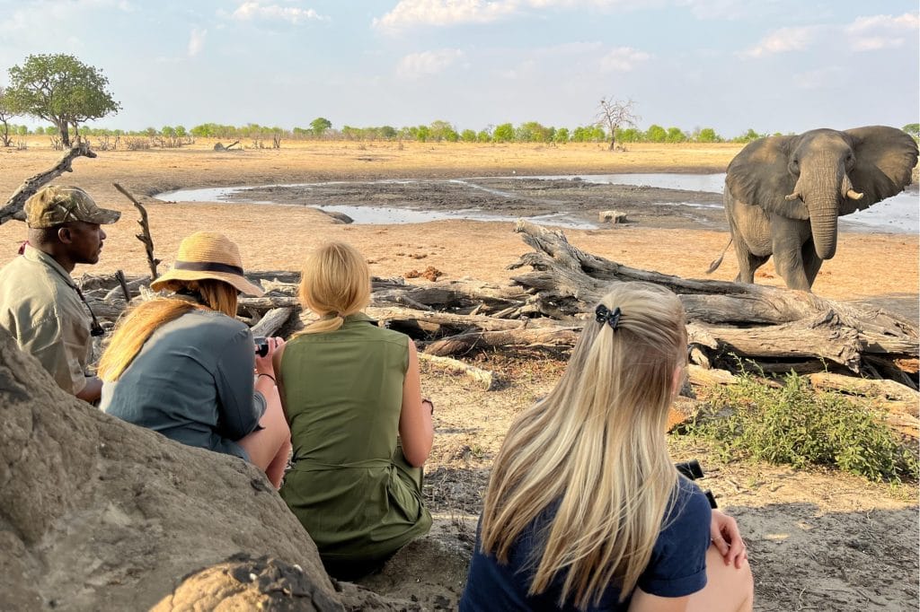 Hwange National Park | Fitzroy Travel