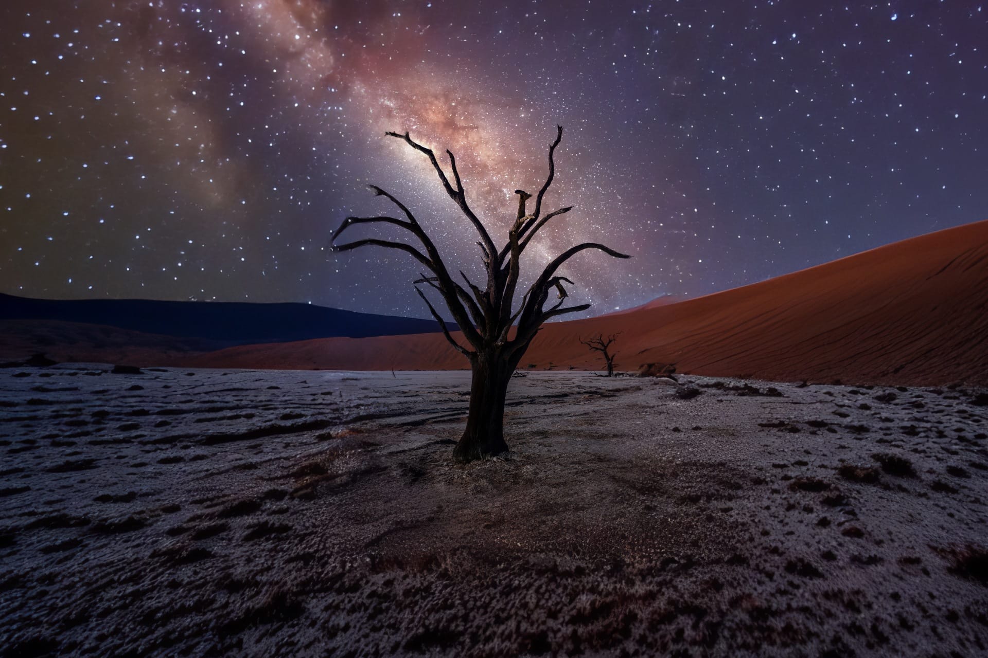 Best Time To Visit Namibia | Fitzroy Travel